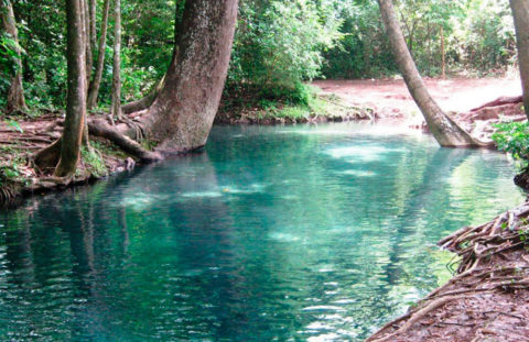 Visita a Colombia: REDESCA observa serios desafíos para la garantía de ...