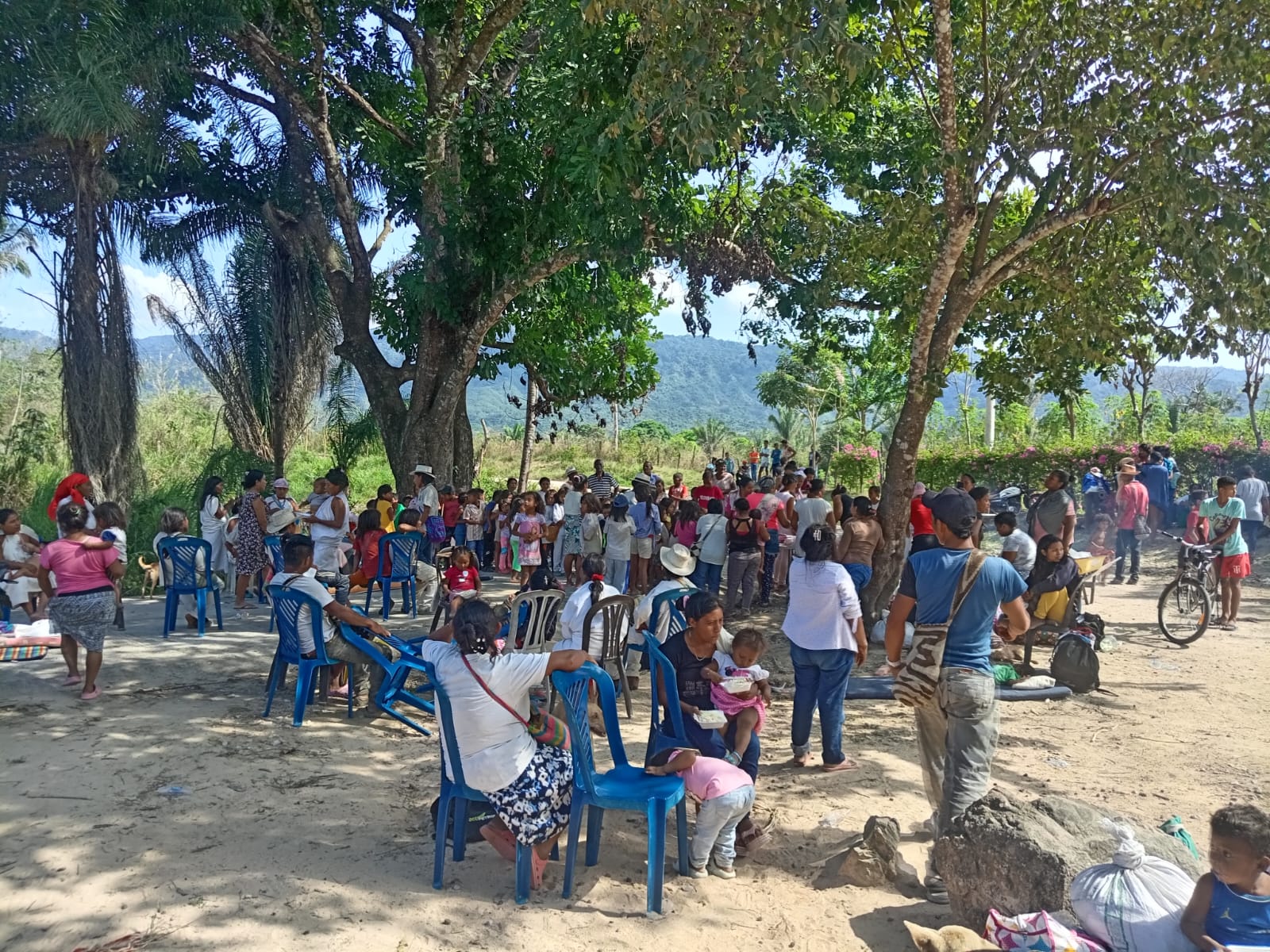 ALERTA URGENTE: SOBRE DESPLAZAMIENTO FORZADO MASIVO DEL PUEBLO WIWA DE ...